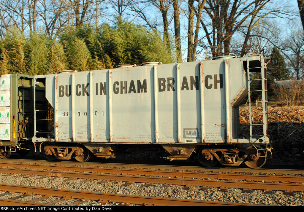 Buckingham Branch Hopper on Q439-18